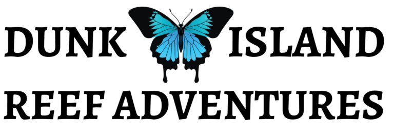 Dunk Island Ferry | Mission Beach to Dunk Island | Mission Beach Day ...