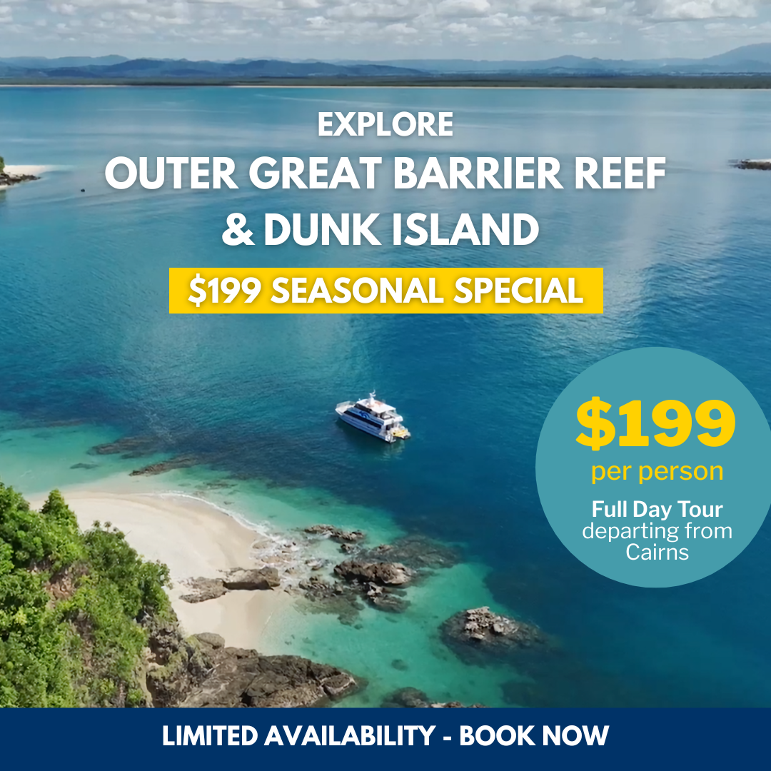 $199 Seasonal Special | Reef & Island | Outer Great Barrier Reef & Dunk ...